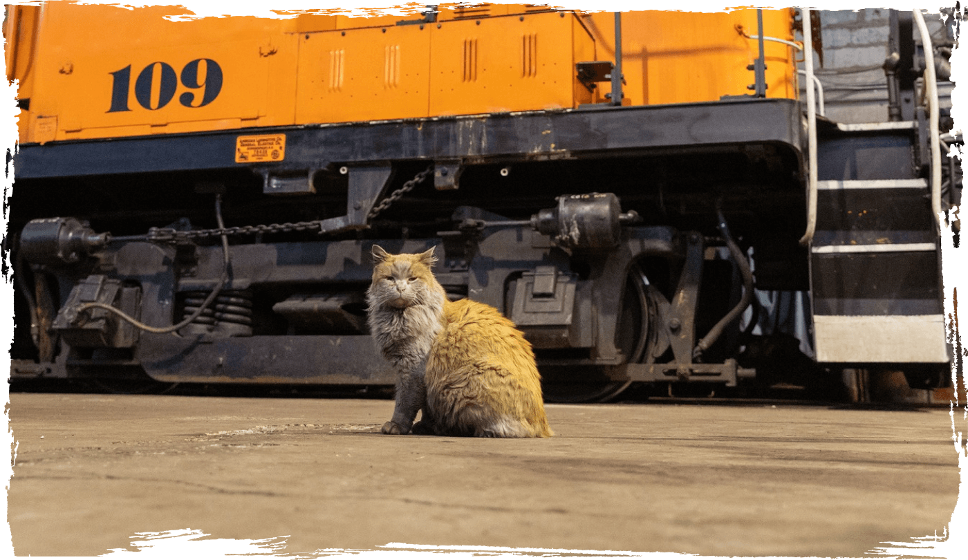 Dirt The Cat | Nevada Northern Railway